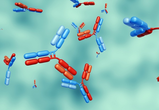 Lilly takes $15M stake in ABL Bio, bets up to $2.6B on its bispecifics