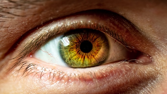 Immunovant's batoclimab falters in thyroid eye disease trials