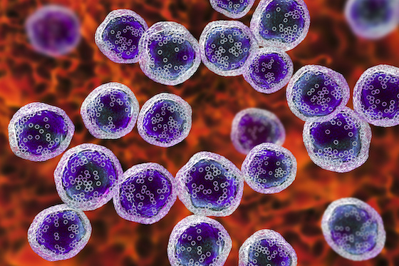 ImmunityBio reports early signals from off-the-shelf cell therapy in ...