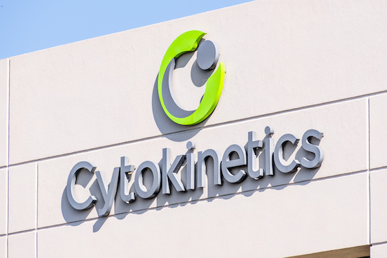 Cytokinetics heart drug aficamten succeeds in pivotal trial