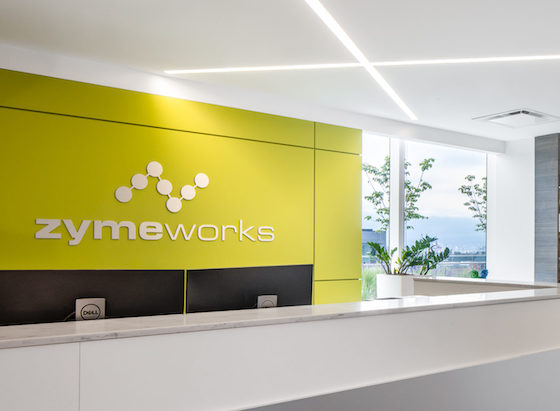 Dose-limiting toxicities prompt Zymeworks to discontinue T-cell engager