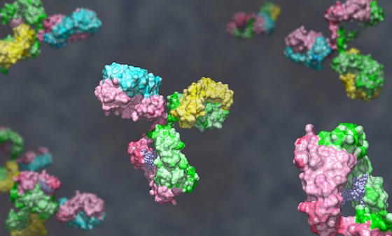 IDEAYA pulls trigger on Biocytogen bispecific ADC to bolster cancer ...