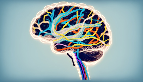 FDA clears Roche's blood test to rule out Alzheimer's in primary care