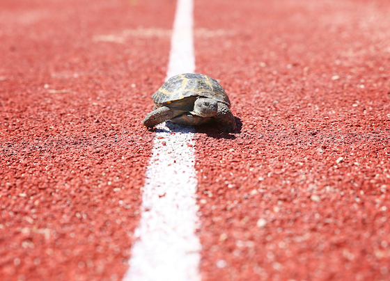 Aardvark stumbles on its way out the IPO window