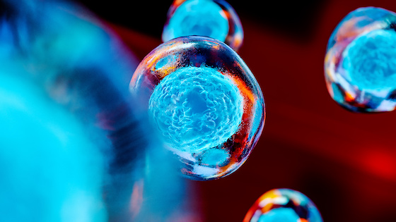 FDA clears Gamida's allogeneic cell therapy Omisirge