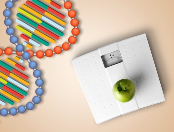 Genetic test flags obesity risk before age five